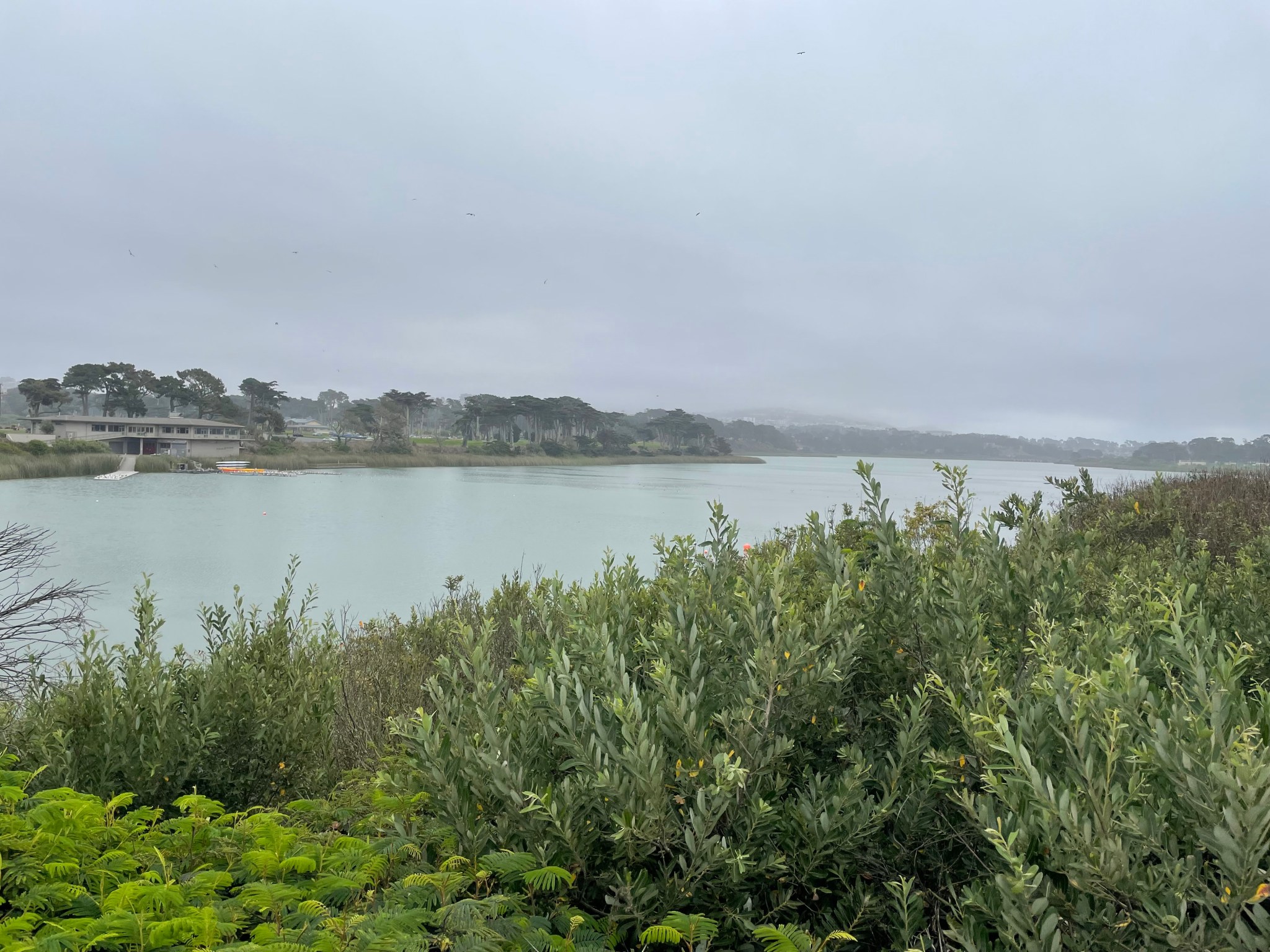 San Francisco’s ALTERNATIVE Crosstown Trail – The Word Goes Flesh